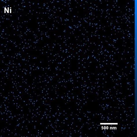 Morphology And Element Distribution Map Of Sample S1 Download
