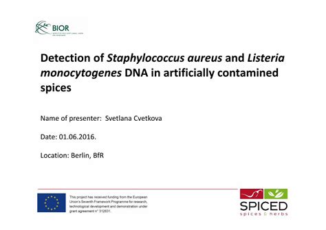 Pdf Detection Of Staphylococcus Aureus And Listeria · Ctab Lysis