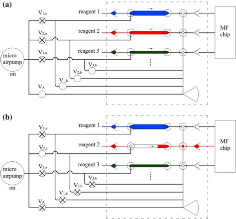 Schematic Of The Multiplexed Design A Metering Of Multiple Reagents B