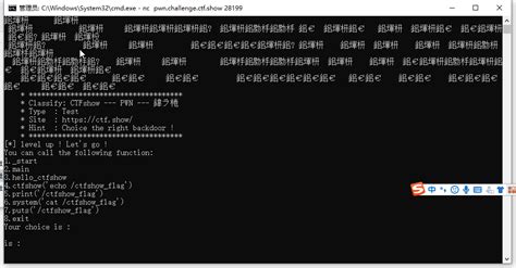 Ctf Show Pwn Test Your Nc Viphhs