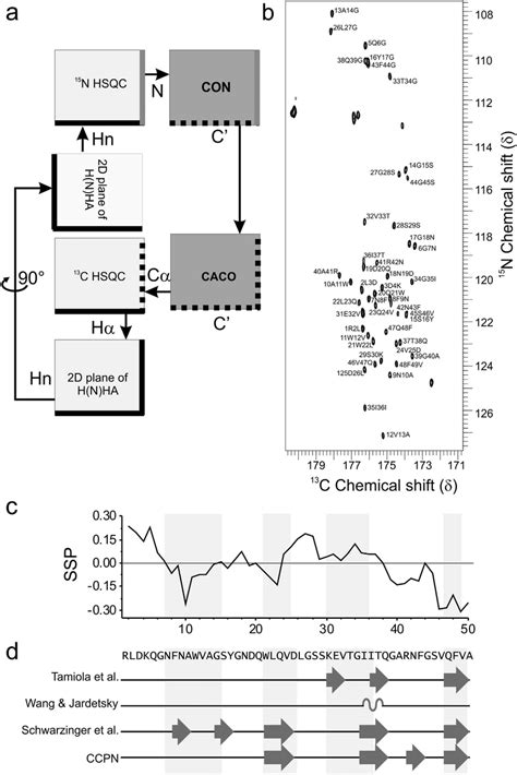 Nmr Data Overview A Schematic Representation Of The Nmr Workflow