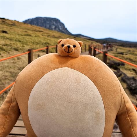 소두곰 Pip과 한라산⛰️ 콜리colley