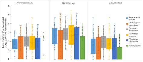 Prorocentrum Lima Ostreopsis Spp And Coolia Monotis Abundances On