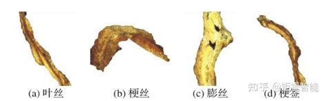 机器视觉引领烟草智造转型保障产品加工质量 知乎