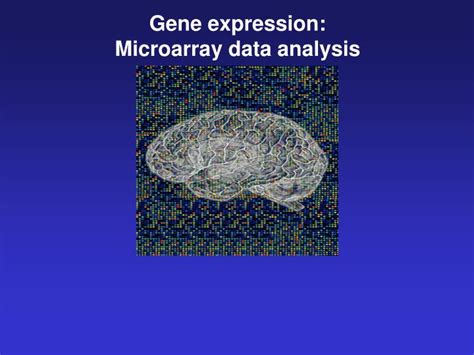 Ppt Gene Expression Microarray Data Analysis Powerpoint Presentation