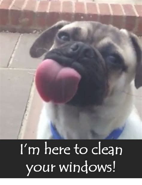 Just For Laughs Window Cleaner At Katie Wheelwright Blog