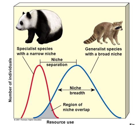 Calc Midterm Flashcards Quizlet