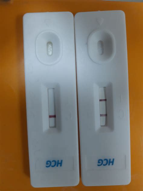 Immunochromatographic Test Ict Introduction Principle Test