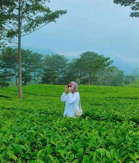 3 Tempat Wisata Di Subang Dengan View Keindahan Alam Yang Bikin