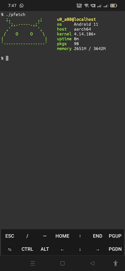 My Termux Setup Rtermux