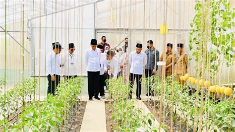 Apresiasi Bisnis Pertanian Ponpes Al Ittifaq Presiden Jokowi Sangat