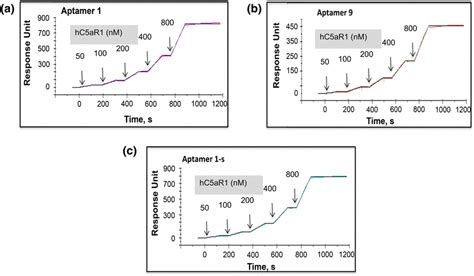 Single Cycle Binding Kinetics Were Measured For Aptamers In The Download Scientific Diagram