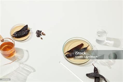 위의 보기에서 흰색 질감에 실험실 테마 검은 메뚜기 열매와 메뚜기 추출물로 장식된 테이블 위에 평평하게 놓인 다양한 유형의