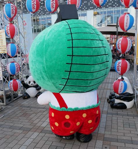 Slと木綿の街、真岡市の「もおかぴょん」と「コットベリー」｜ゆるキャラ