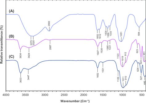 Fourier Transform Infrared Spectra For Chitosan A Download