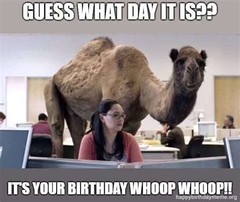 Employee Birthday Funny Meme Funny Meme Happy Birthday Greeting Card
