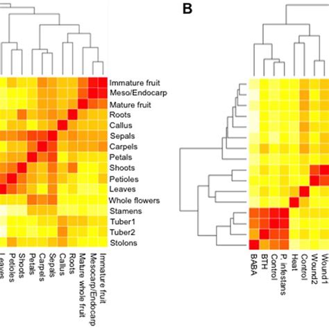 cluster heat map of gene expression data the hierarch