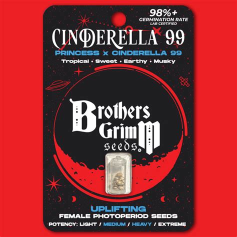 Complete Guide To Feminized Seeds Brothers Grimm Insights