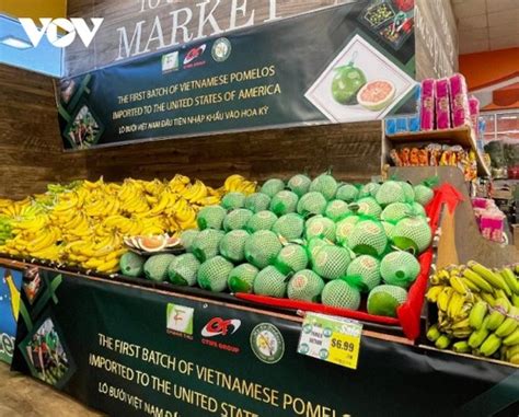 Impresionante Rendimiento De Exportaciones De Frutas Y Verduras