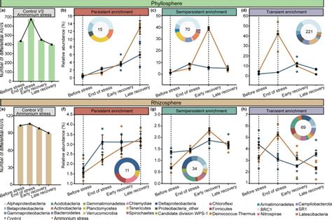 Niche Specific Restructuring Of Bacterial Communities Associated With