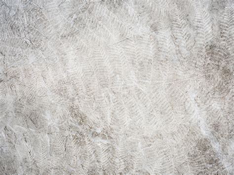 The CoffeeShop Blog CoffeeShop Fossil Fine Art Texture Set And