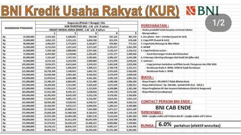 Tabel Angsuran KUR BNI 2025 Rp 20 Juta Rp 50 Juta Inilah Syarat Dan