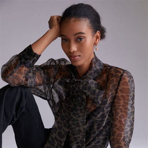 Puff Sleeved Neck Tie Blouse Nuuly