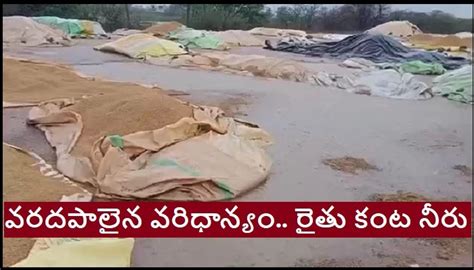 Heavy Rains Lashes Out Nizamabad Adilabad Kamareddy Rajanna Sircilla