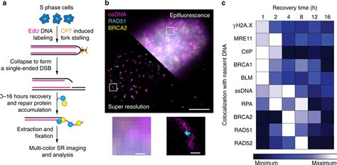 Super Resolution Spatiotemporal Mapping Of The Arrivals Accumulations