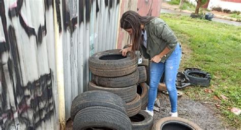 Primeiro Dia D de combate à dengue mobiliza cinco regiões Jornal de Brasília