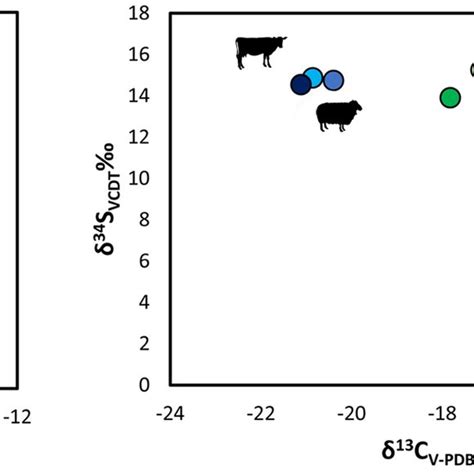 Scatterplot Of Human And Animal Bone Collagen δ¹³c δ¹⁵n And δ³⁴s