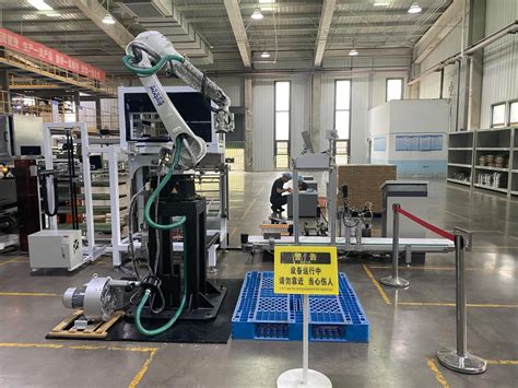 Gloves Automatic Packing And Palletizing Machine Reebow