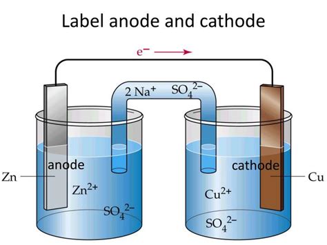 What Is Anode And Cathode In Electrolysis At Dane Lott Blog