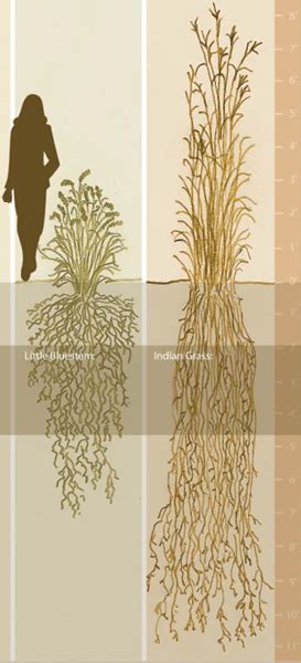 Forces Of Nature Part 5 Kansas Historical Society