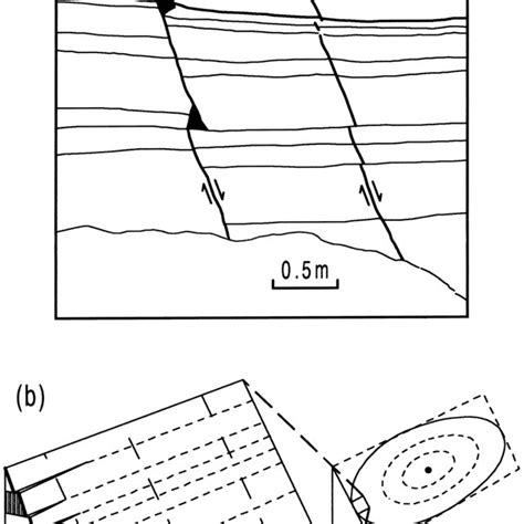 A Vertically Segmented Faults Viewed In A Cliff Face Flamborough