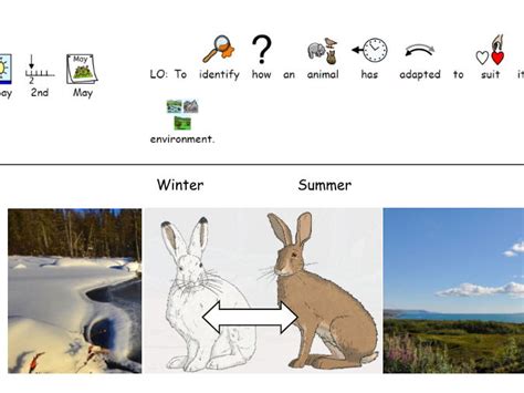 Sen Science Adaptation Teaching Resources