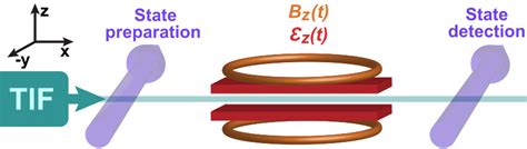 schematic diagram of the proposed experiment download scientific diagram