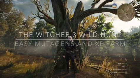 THE WITCHER 3 WILD HUNT Easy Mutagens XP Farm YouTube
