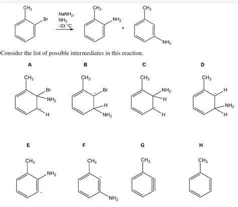 Solved Reaction Of Ortho Bromotoluene With Sodium Amide In 41 Off