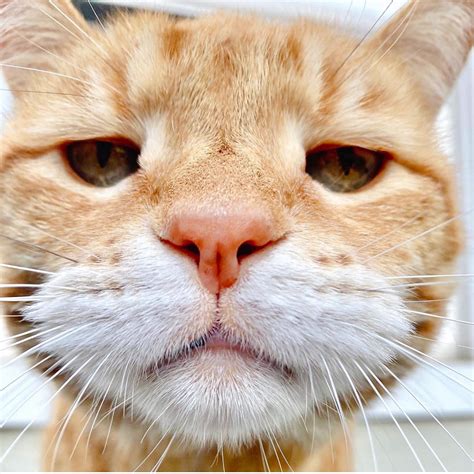 JS Number类型的范围 lzhu s pub