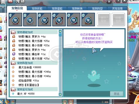 G买卖 剑圣300级 博英蝴蝶结95S宠物队长双爆石化