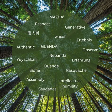 Seattle Arts And Lectures Indigenous Literature And Land Based Pedagogy Workshop With Laura Da