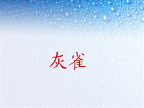 人教版三年级第5课灰雀教学ppt Word文档在线阅读与下载 无忧文档