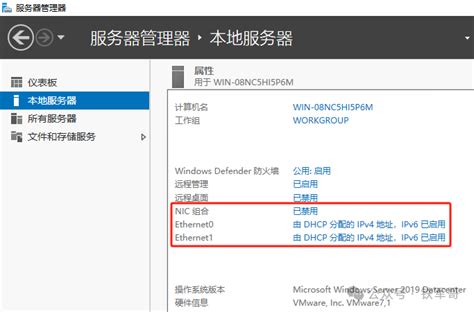 Windows Server Nic