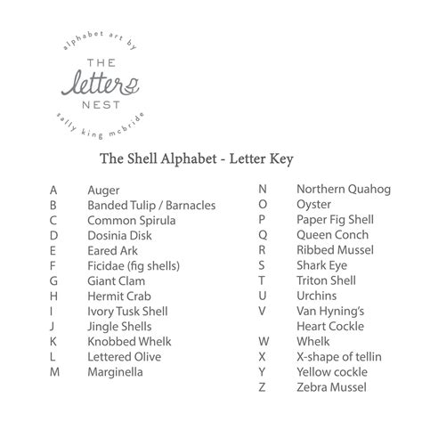 Shell Alphabet Print The Letter Nest
