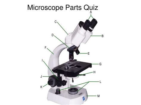 PPT Diffusion Microscope Cell Lab PowerPoint Presentation ID
