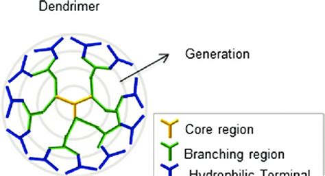 Structure Of Dendrimer Download Scientific Diagram