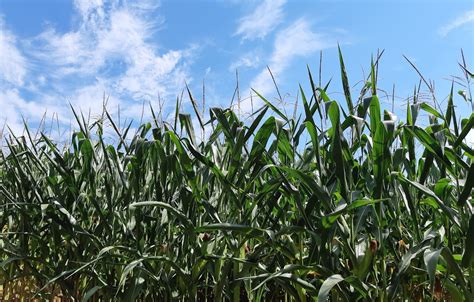 Api Gatewaylambdadynamodb Using Aws Cdk By Feng Li Aws Tip