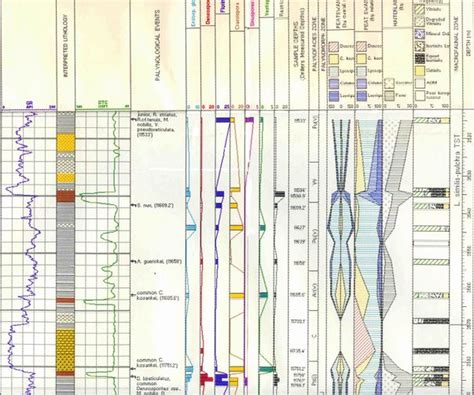 Log Interpretation Charts Ponasa