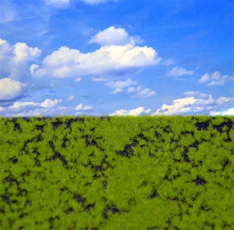Wild Grass Type 2 Reality In Scale